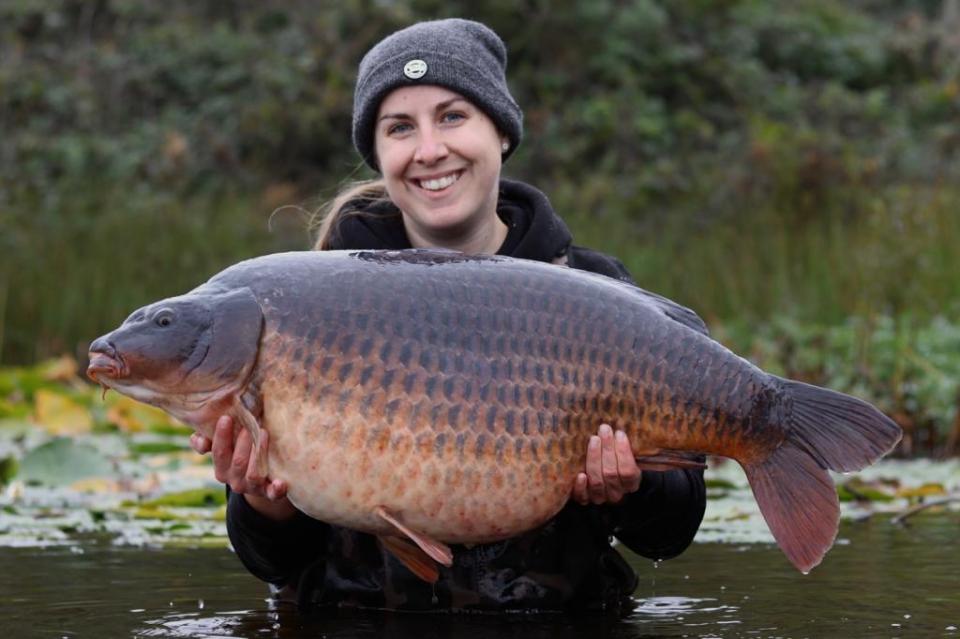 The glass common | Total Carp